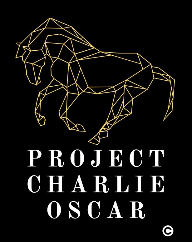 Veterans and Horses | Project Charlie Oscar Inc.